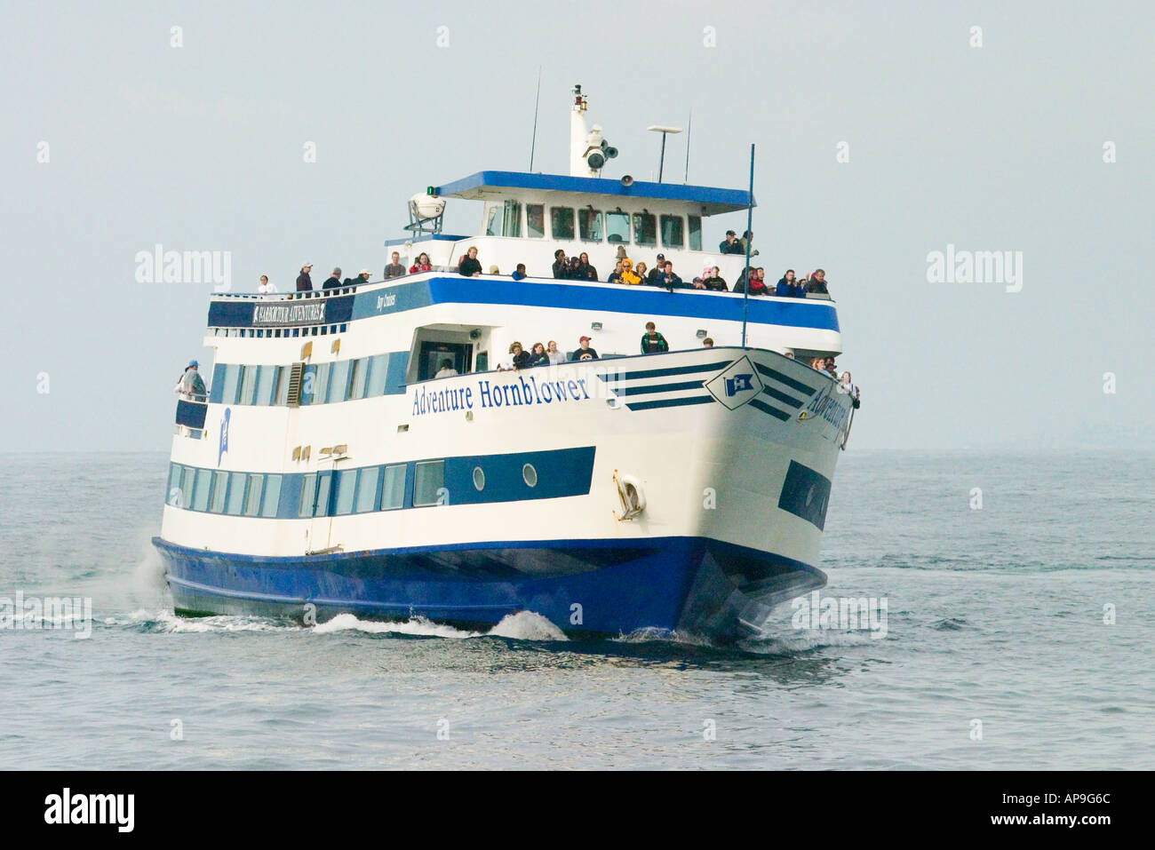 Educational cruise ship hi-res stock photography and images - Alamy