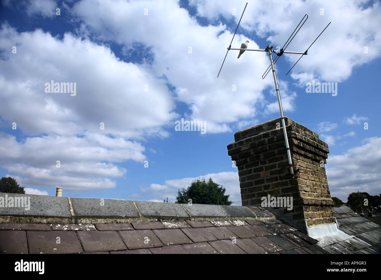 slate roof top with a chimney and T.V aerial Stock Photo - Alamy