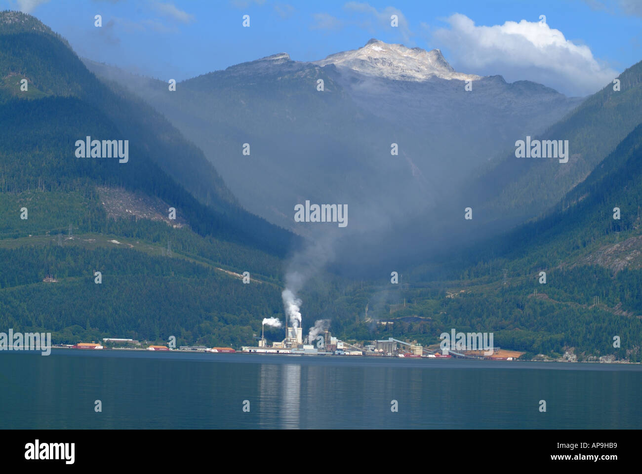 Paper and pulp hi-res stock photography and images - Alamy