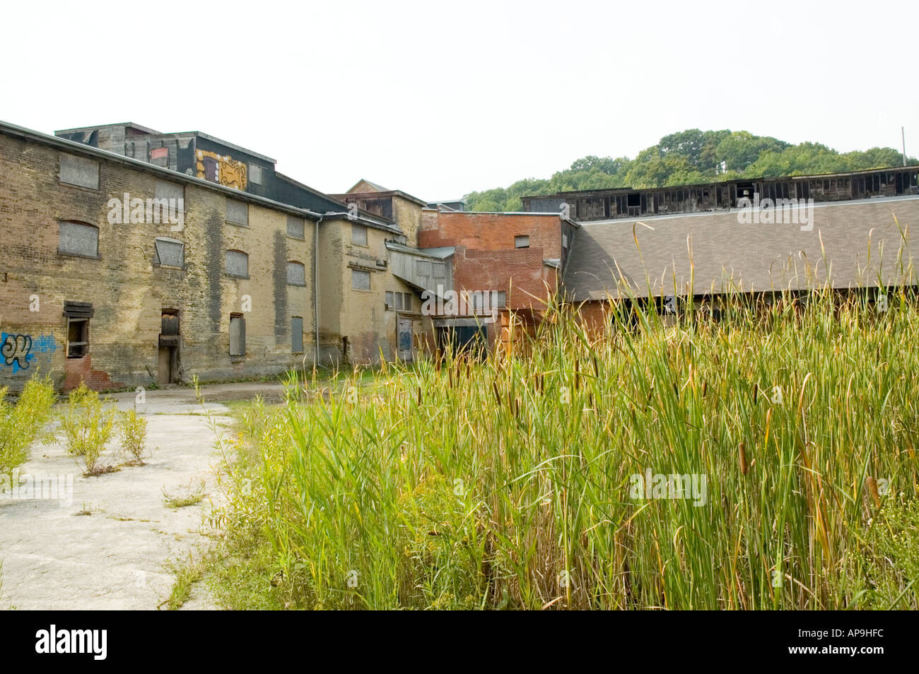 Interior and exterior of abandoned factory Stock Photo - Alamy