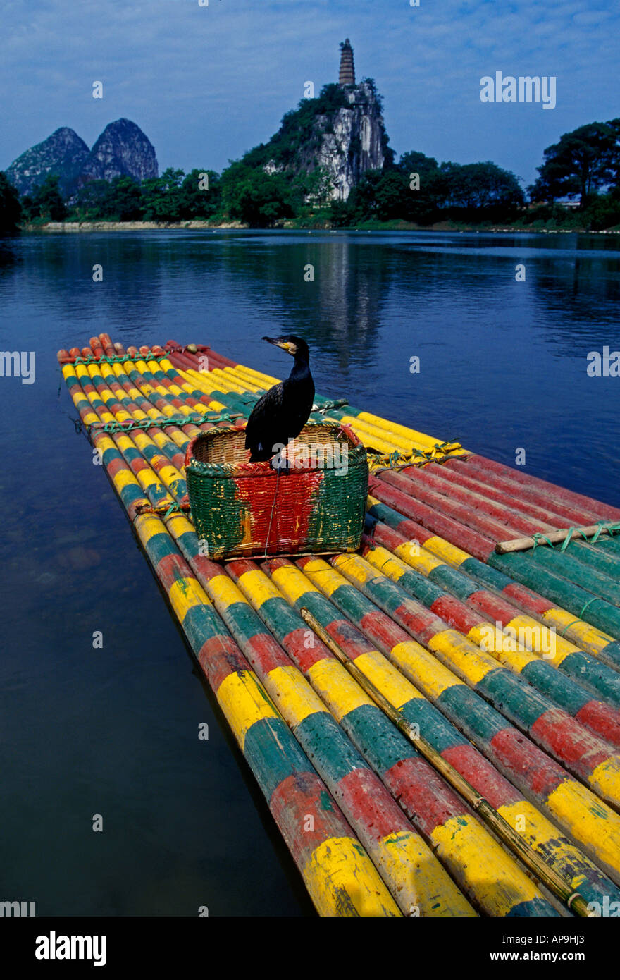 Cormorant on bamboo raft at Chuanshan Park Guilin Guangxi Province ...