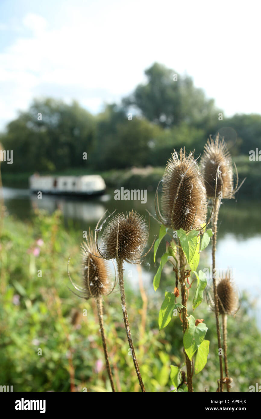 House narrow boat river hi-res stock photography and images - Alamy