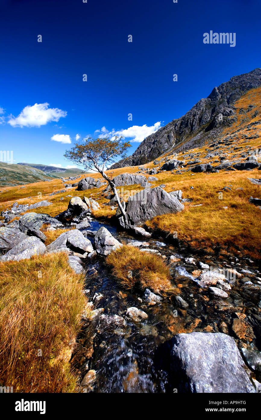 Tryfan Mountain in the Snowdonia National Park Wales Stock Photo - Alamy
