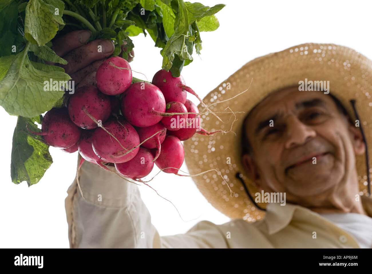 Man holding bunch of radishes Stock Photo - Alamy