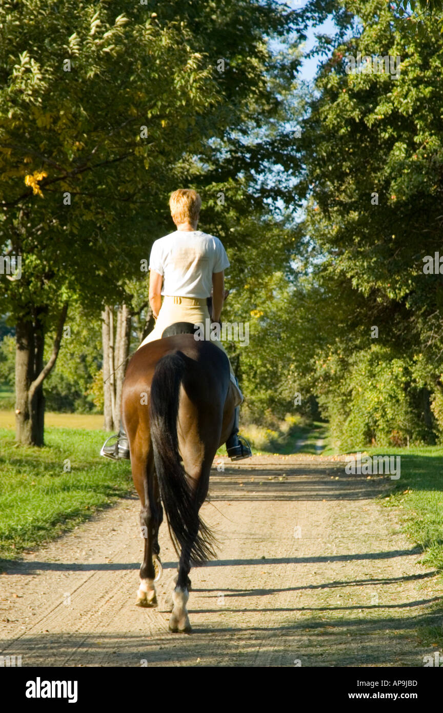 Horse and rider Stock Photo - Alamy