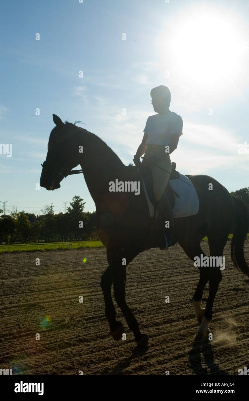 Horse and rider Stock Photo - Alamy
