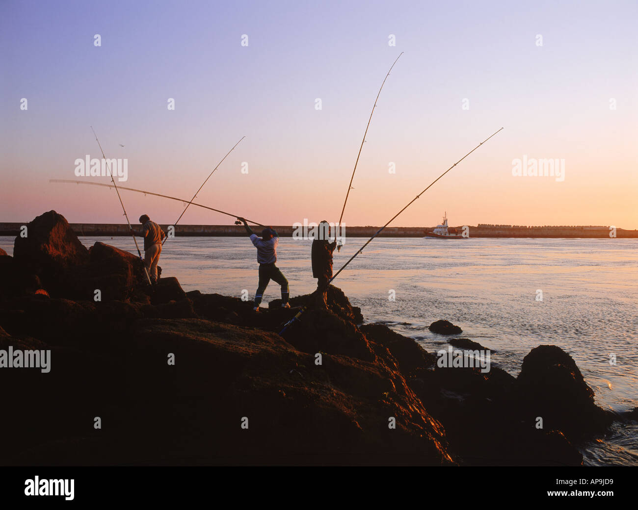 People fishing off rocks near Aveiro harbour at sunset Portugal Stock ...