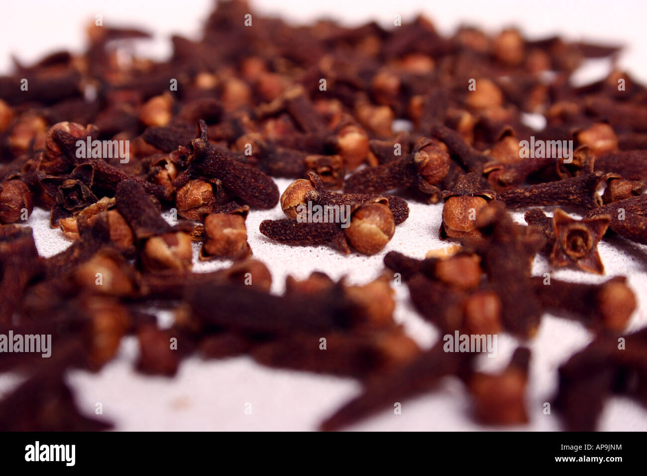 Cloves lavang hi-res stock photography and images - Alamy