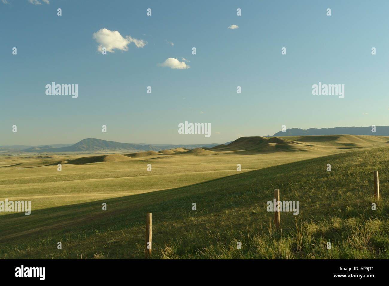 West albany hi-res stock photography and images - Alamy