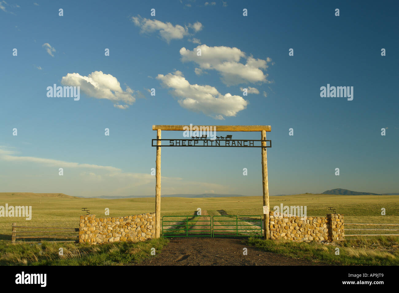 Pictures mountain sheep hi-res stock photography and images - Alamy