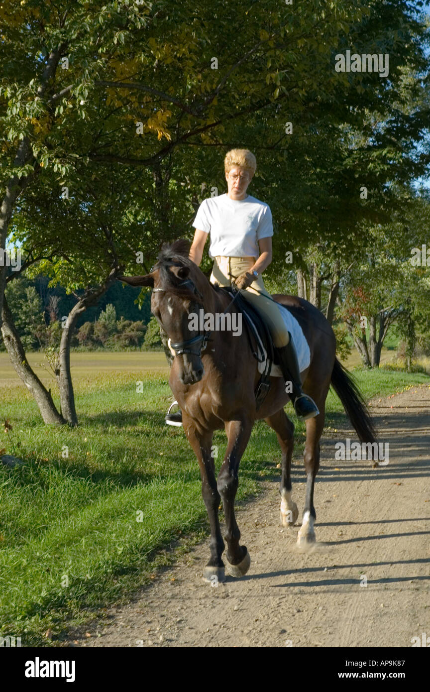 Horse and rider Stock Photo - Alamy