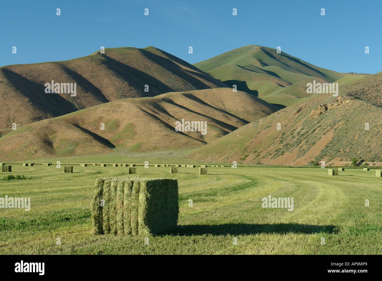 The farm of bellevue hi-res stock photography and images - Alamy