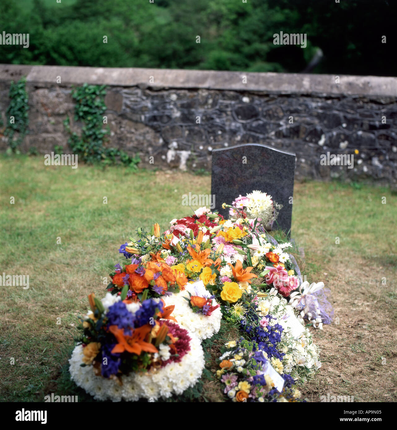 Freshly dug grave hi-res stock photography and images - Alamy