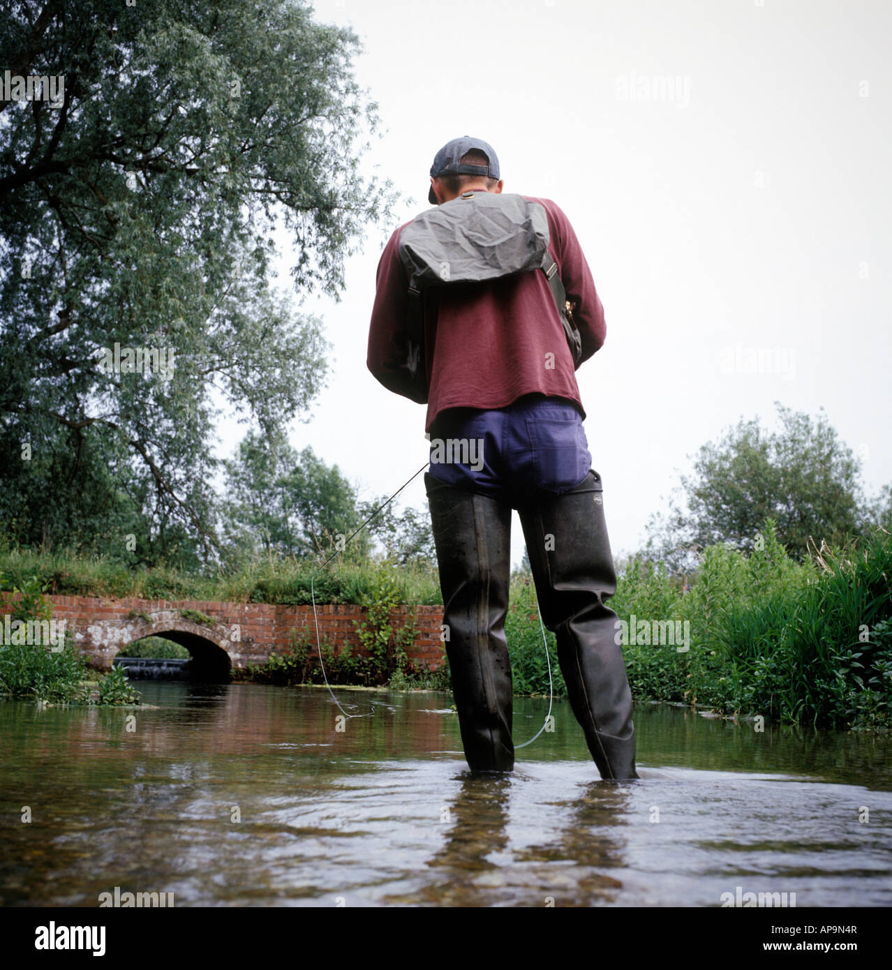 a man fly fishing Norfolk UK Stock Photo - Alamy