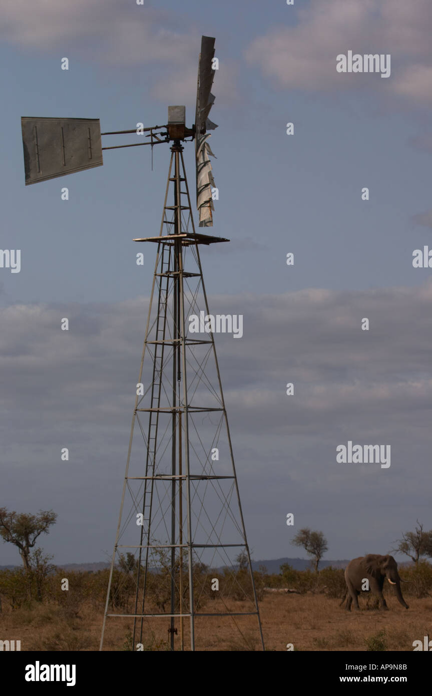 Wind water pumps in Kruger National Park used to fill waterholes Stock ...