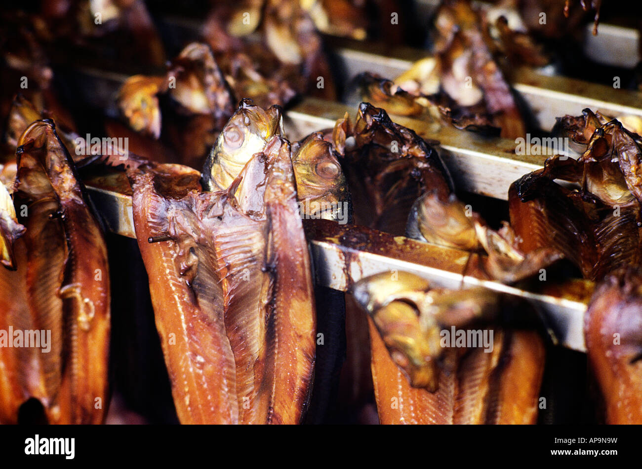 smoked herring or kippers hanging on a smoking rack Stock Photo - Alamy