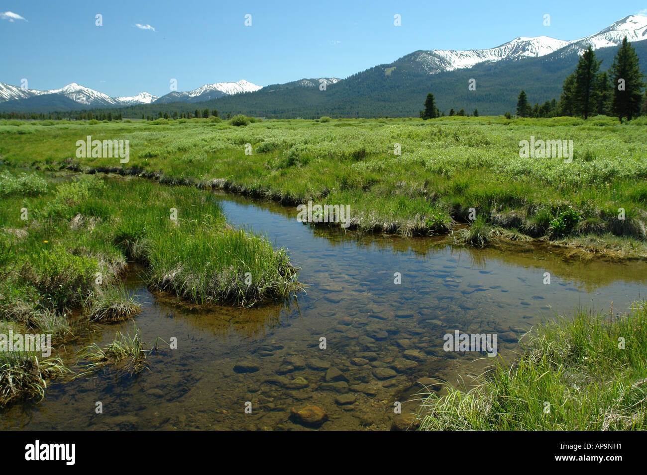 AJD50698, ID, Idaho, Sawtooth National Recreation Area, Sawtooth ...