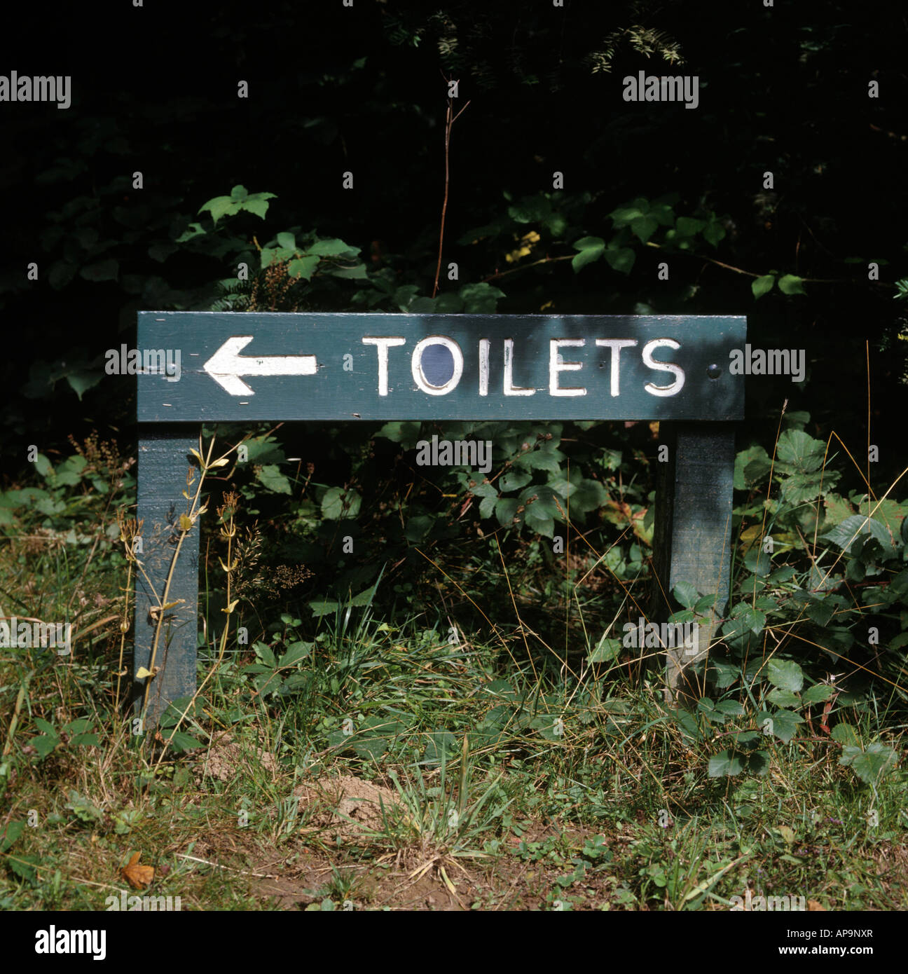 a wooden toilet sign in the woods Stock Photo - Alamy
