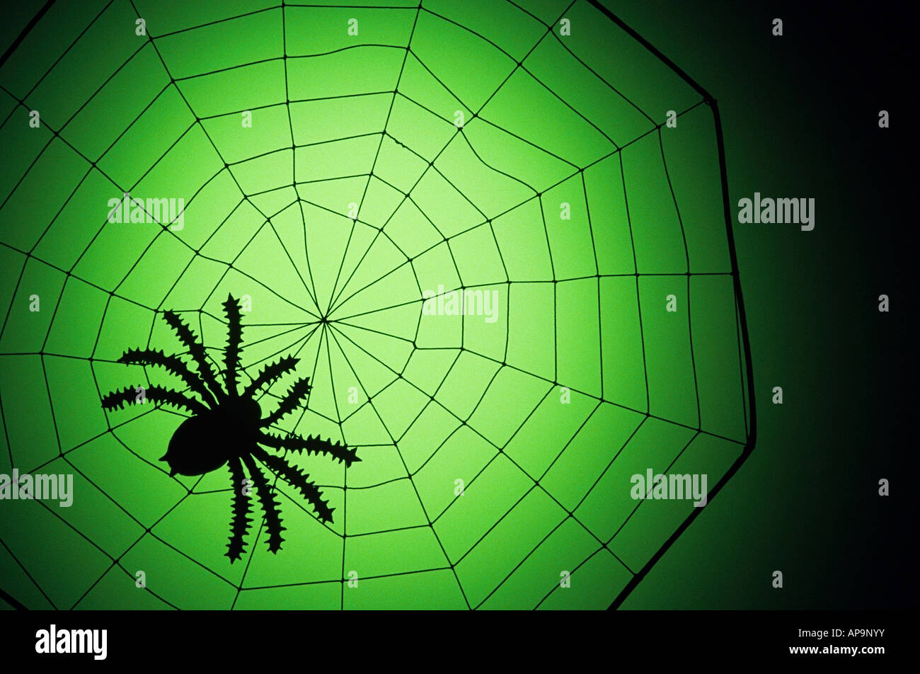 Silhouette Of A Spider High Resolution Stock Photography and Images - Alamy
