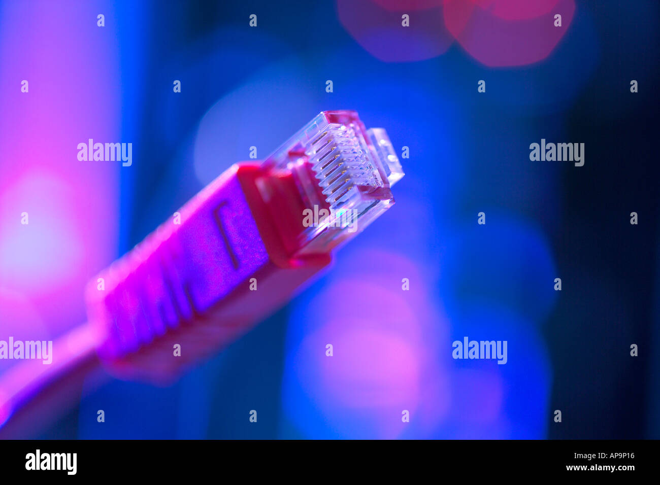 Telecoms electronics cable, close up Stock Photo - Alamy