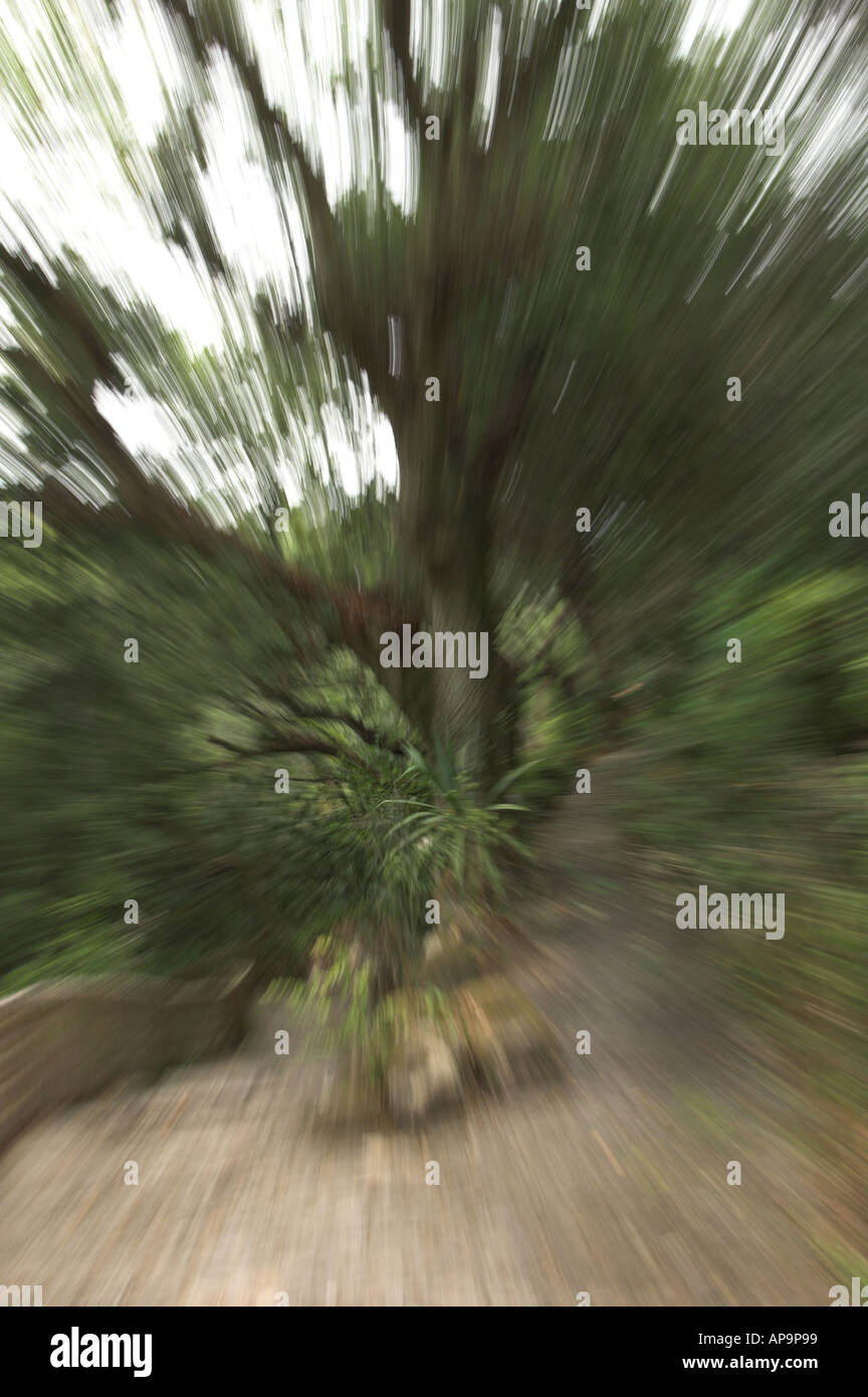 blurred path in moserrate Palace gardens, Sintra, Portugal Stock Photo ...