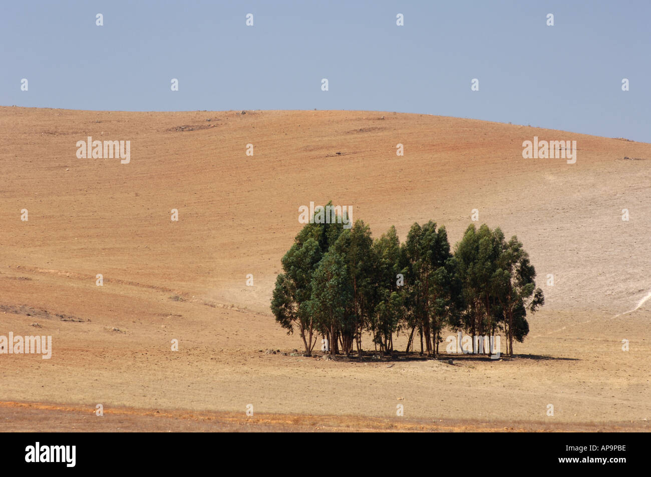 Traditional Alentejo landscape, Portugal Stock Photo - Alamy