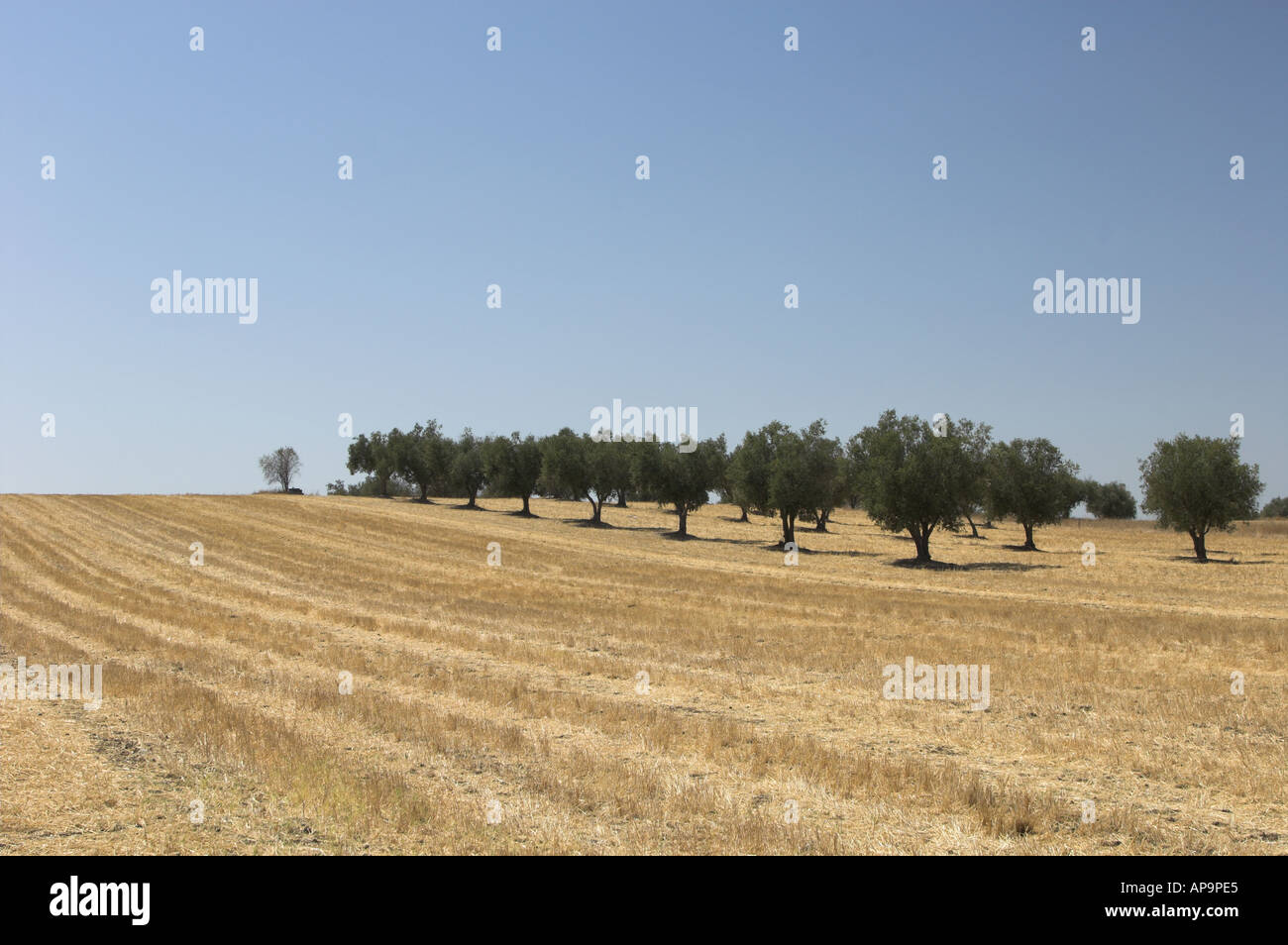 Rural meadow landscape in hi-res stock photography and images - Alamy