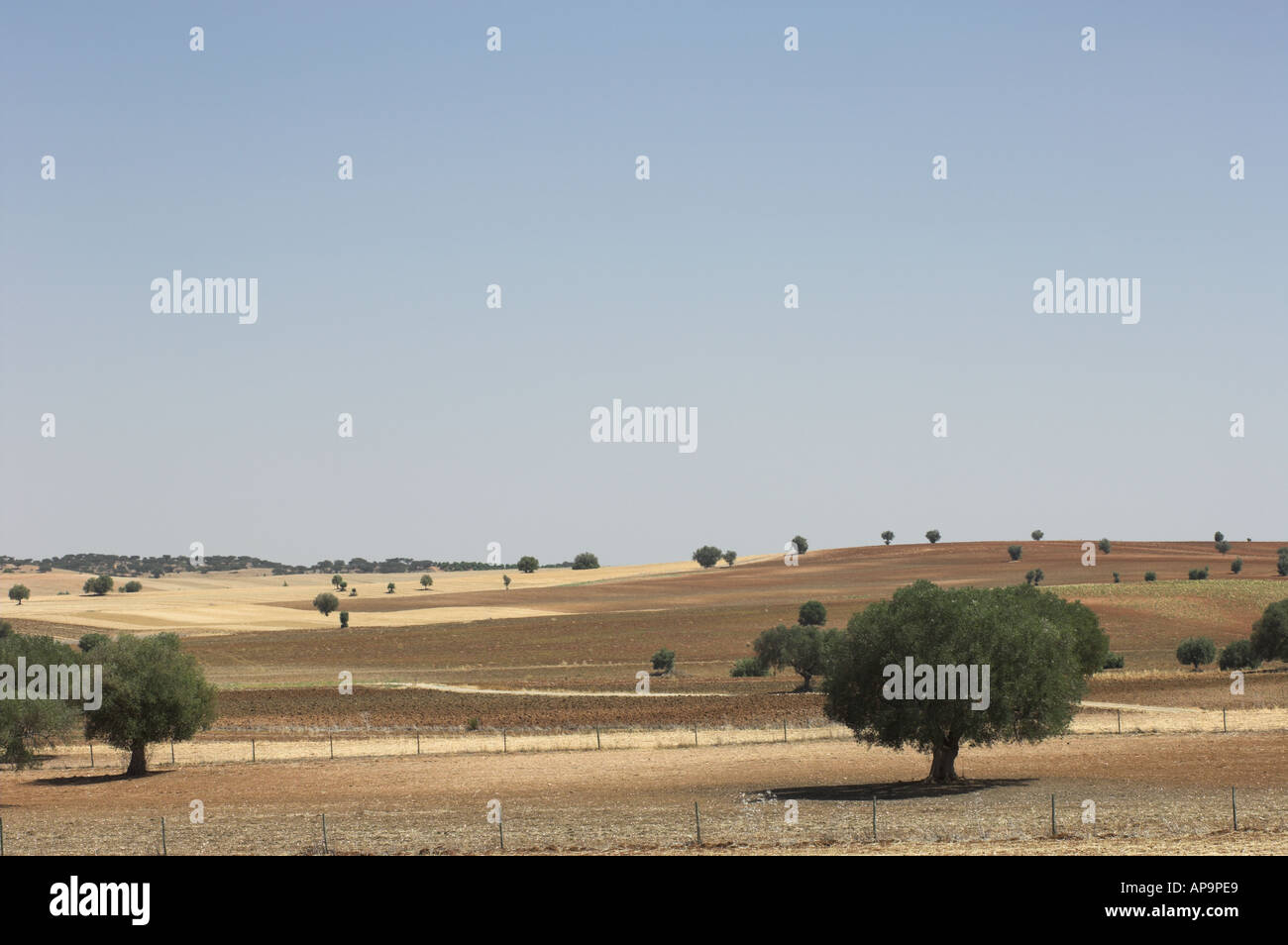 Traditional Alentejo landscape, Portugal Stock Photo - Alamy
