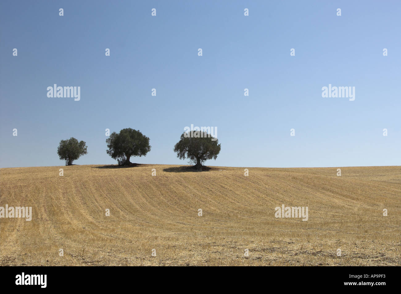 Traditional Alentejo landscape, Portugal Stock Photo - Alamy