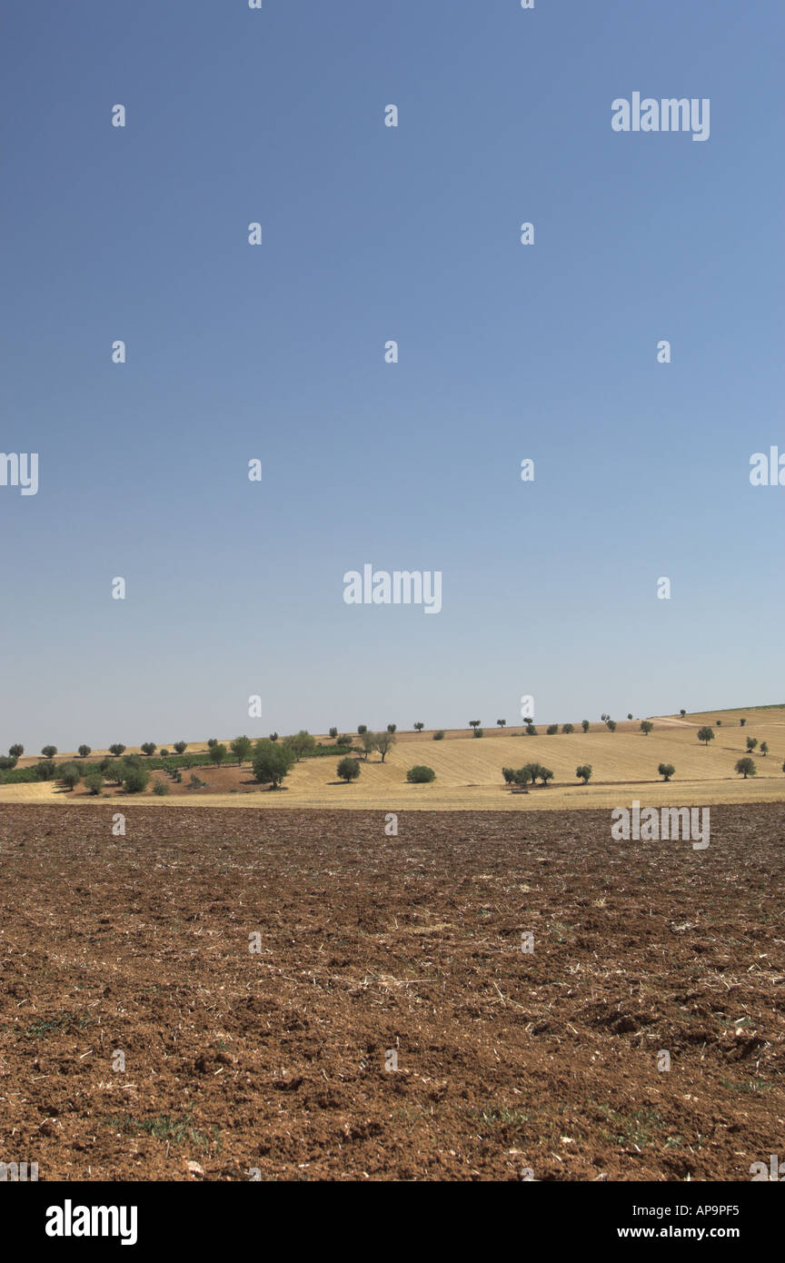 Traditional Alentejo landscape, Portugal Stock Photo - Alamy