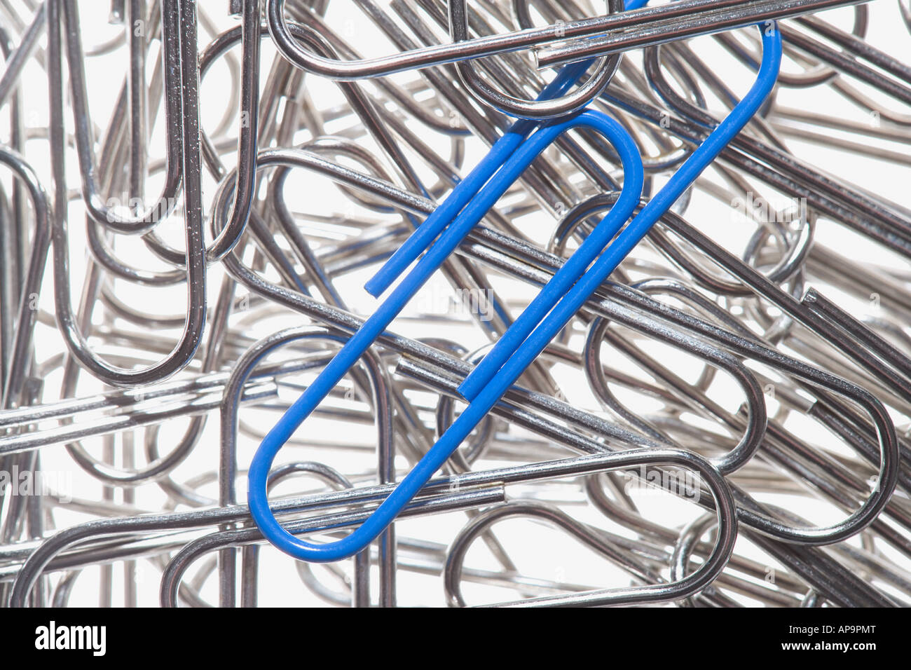 Blue paperclip amongst silver paperclips Stock Photo - Alamy