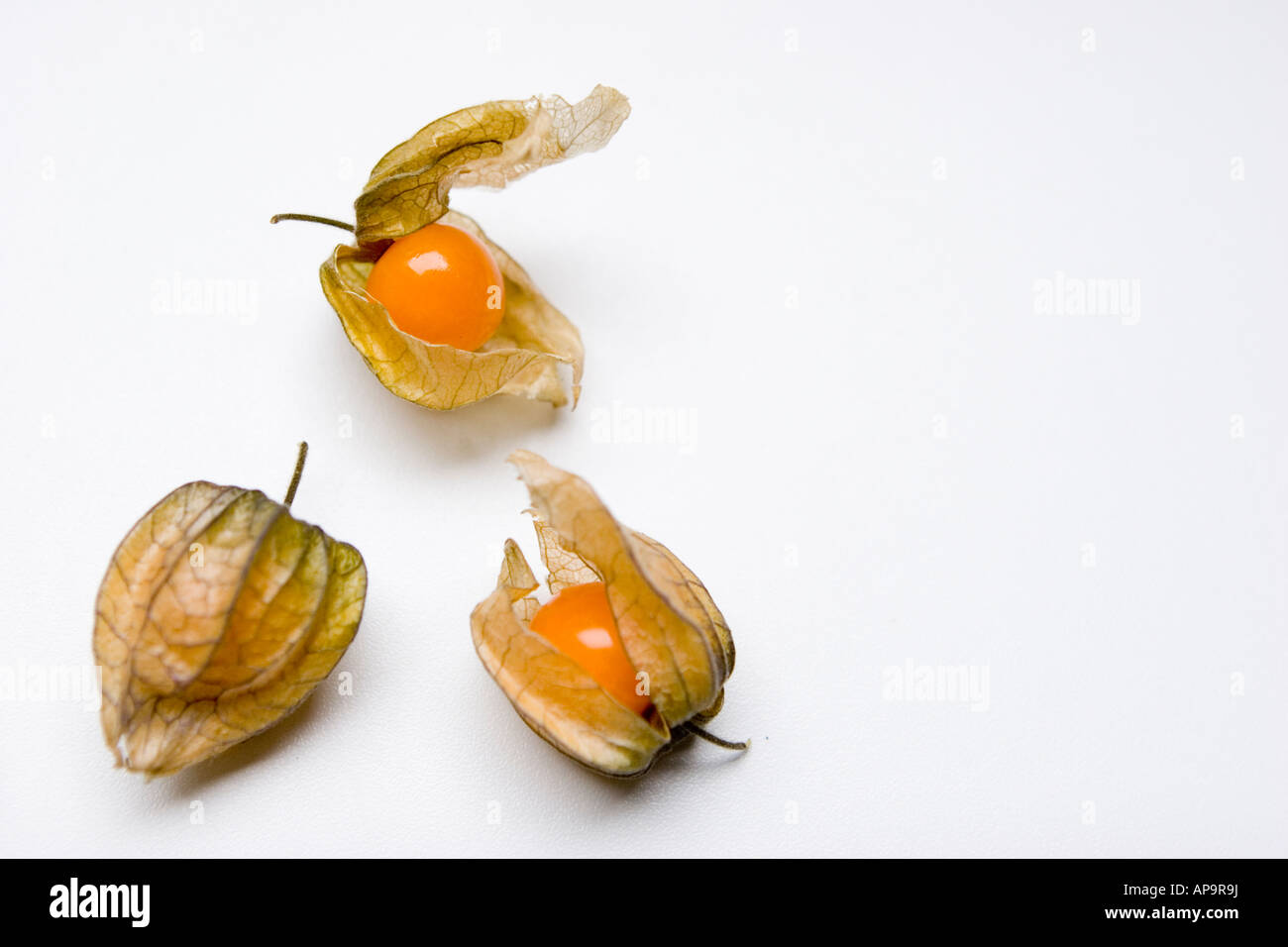 Physalis garnish hi-res stock photography and images - Alamy
