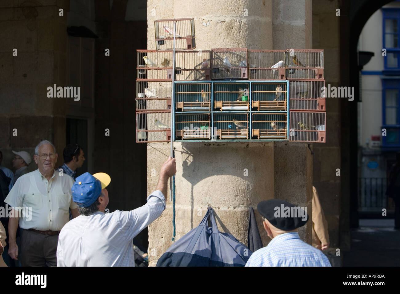 Caged birds for sale Sunday market Plaza Nueva Bilbao Basque country ...