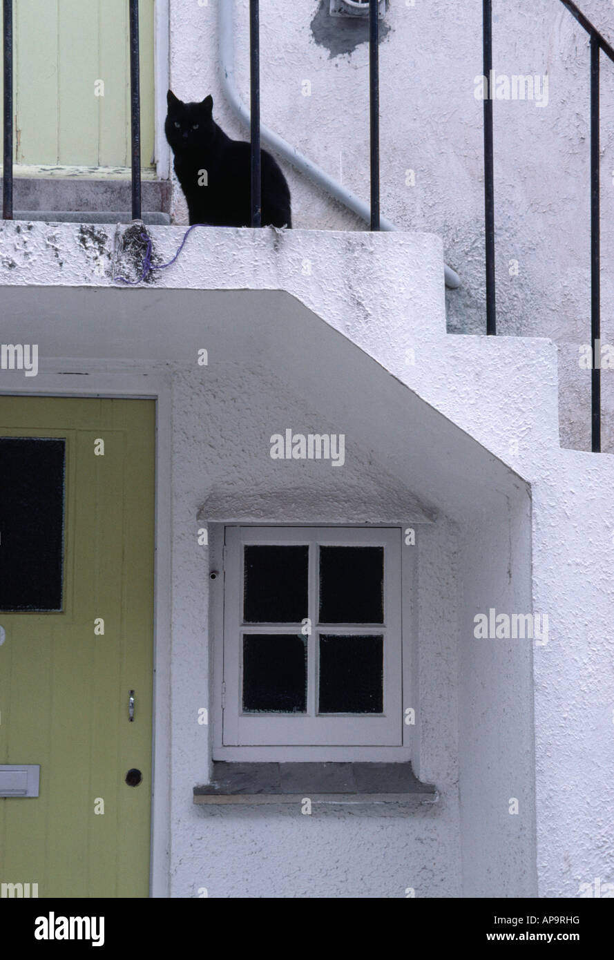 Black cat on steps above window of white cottage Stock Photo - Alamy