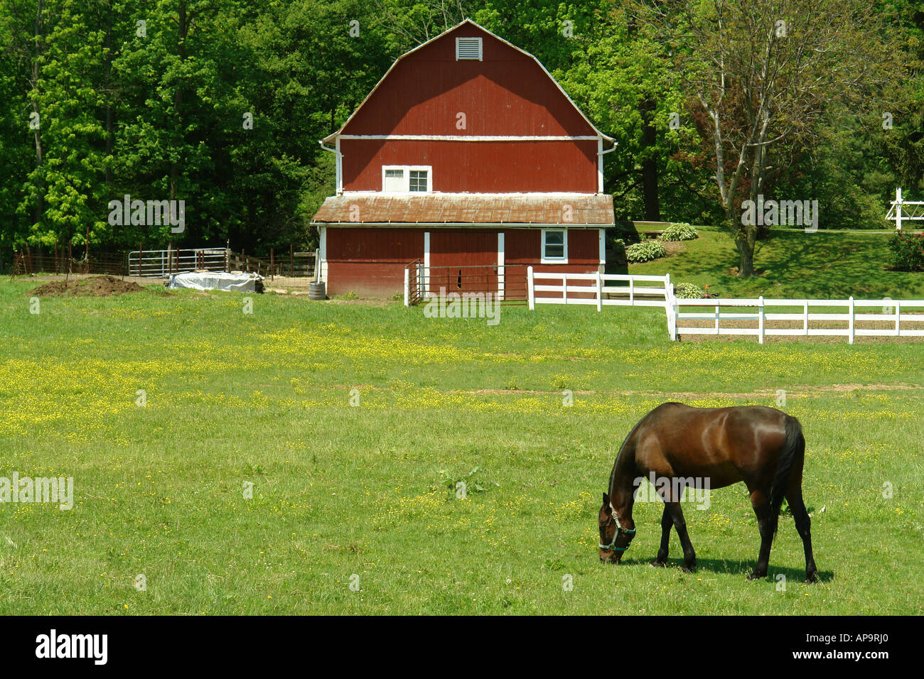 Holmes county amish scenic hi-res stock photography and images - Alamy
