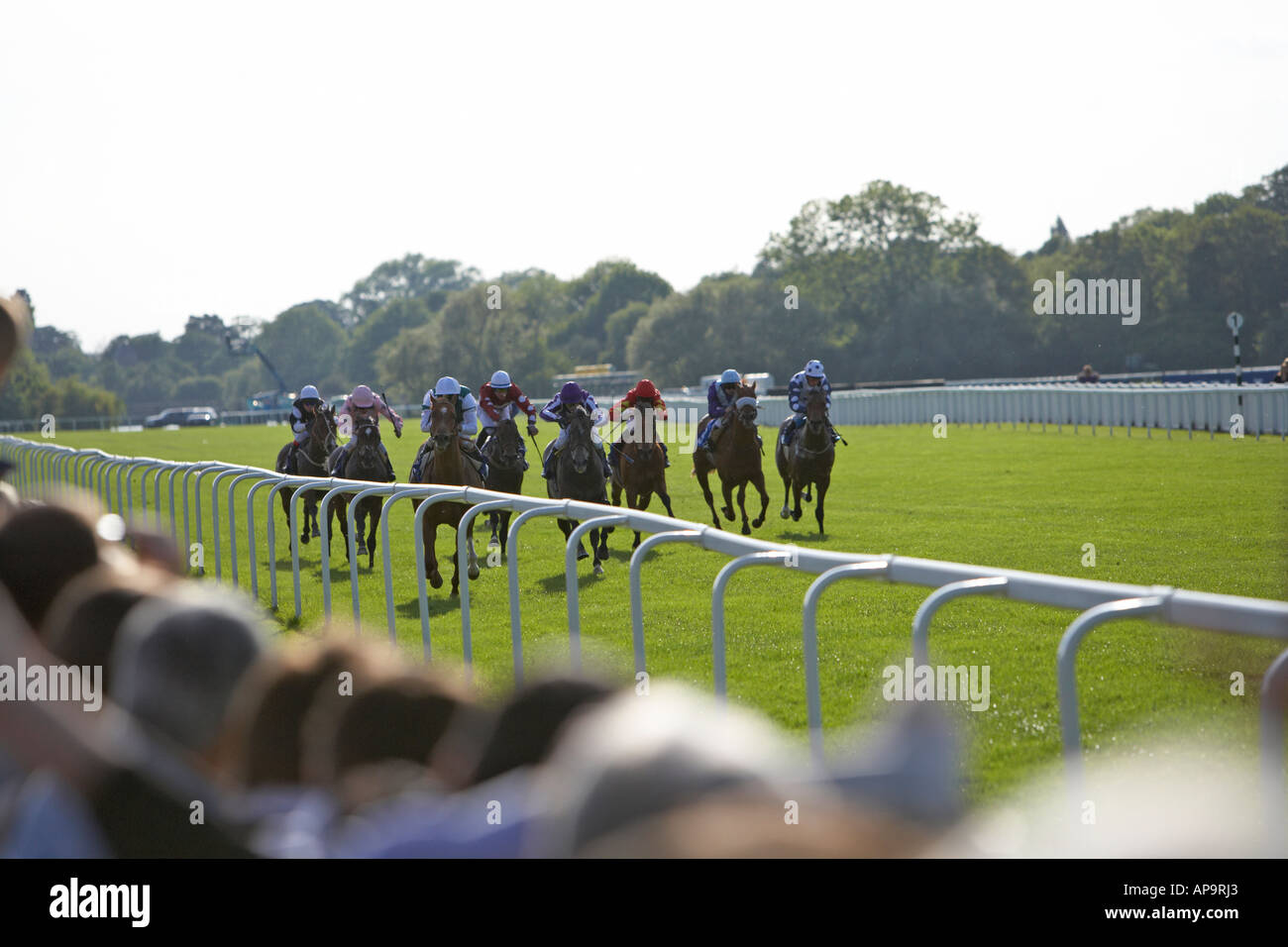 Horses racecourse hi-res stock photography and images - Alamy