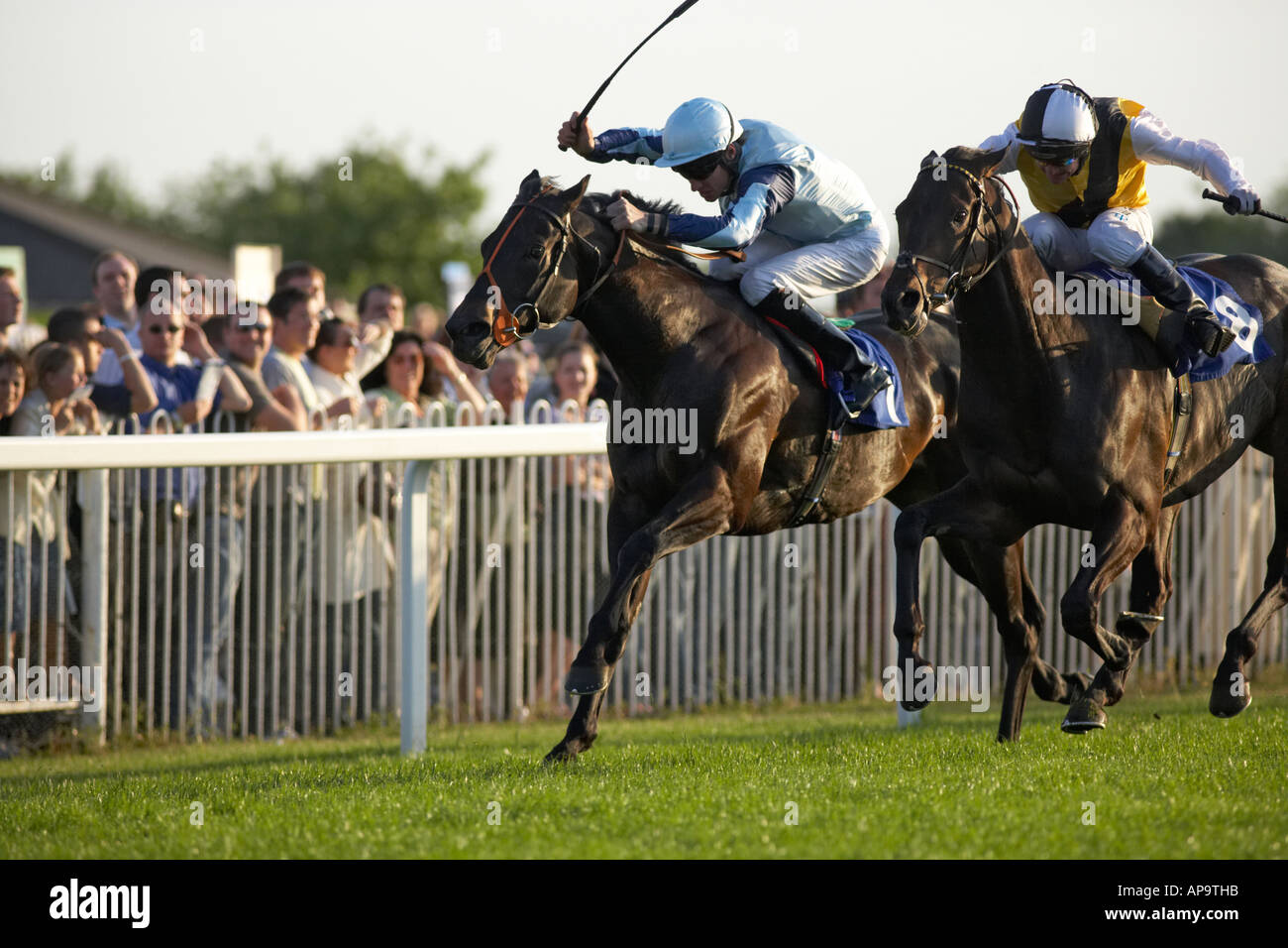 Racehorses hi-res stock photography and images - Alamy