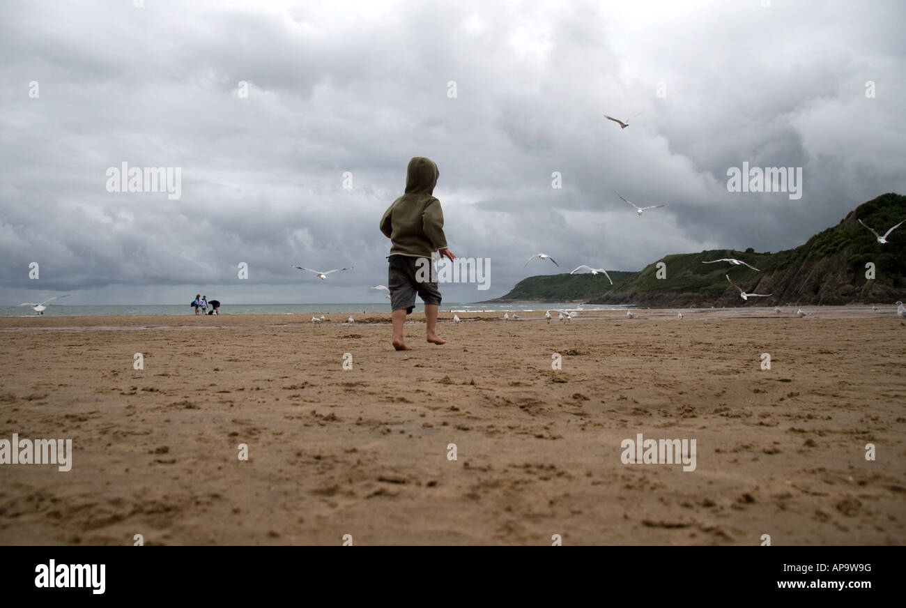 Boy chasing birds hi-res stock photography and images - Alamy