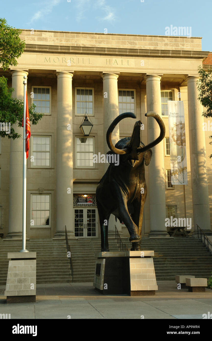 Morrill hi-res stock photography and images - Alamy