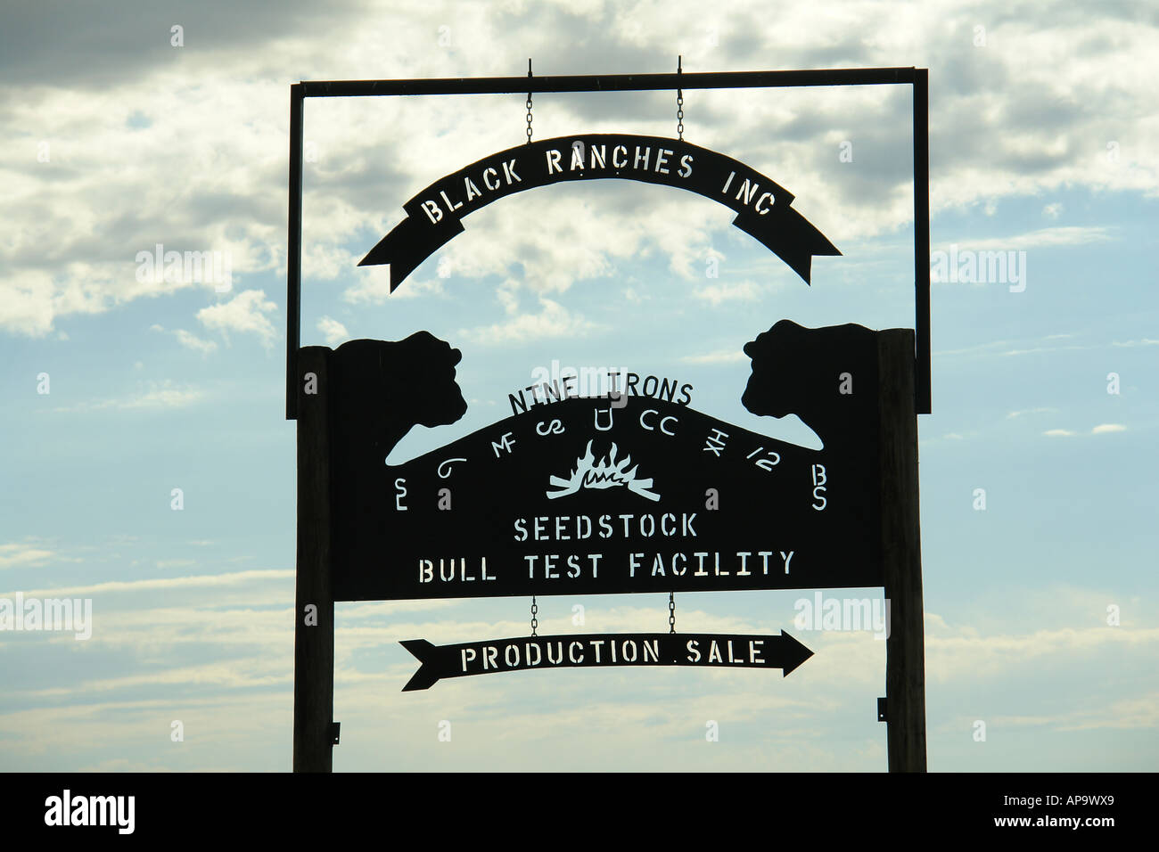 Nebraska ranch cattle hi-res stock photography and images - Alamy