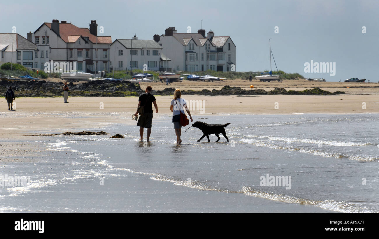 A COUPLE WALK THEIR DOG IN THE WATERS OF RHOSNEIGR BEACH,ANGLESEY,WALES ...
