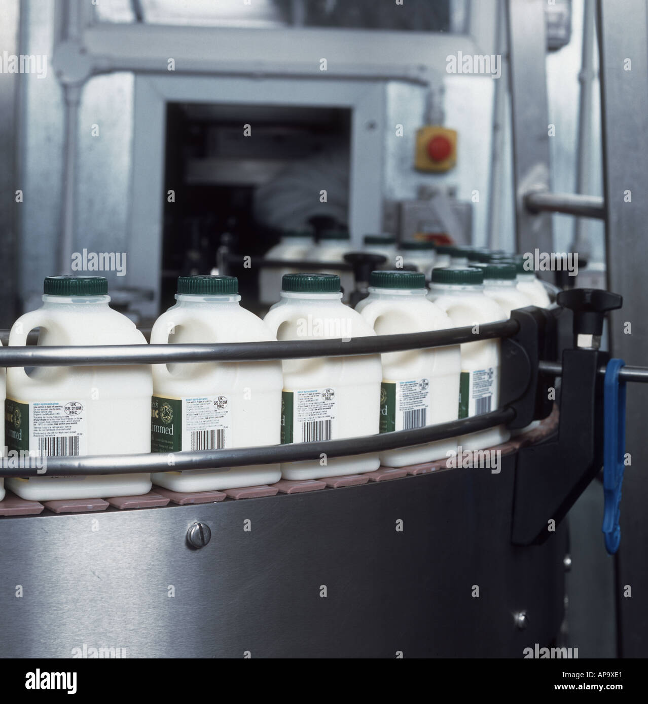 Milk in plastic 1 pint containers on conveyor belt Stock Photo - Alamy