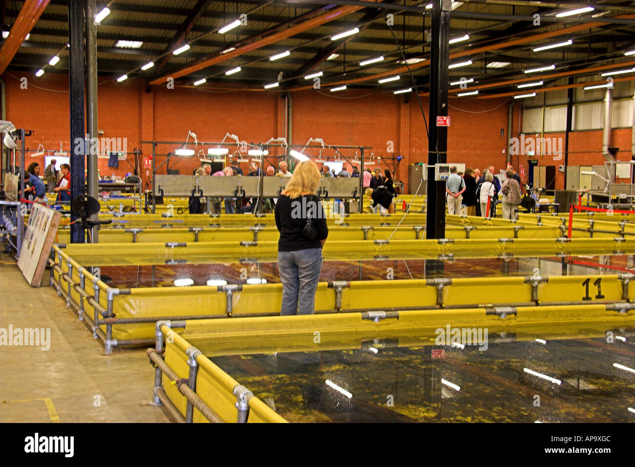 Timbers from Newport Medieval Ship in Water Tanks Open Day Maesglas ...