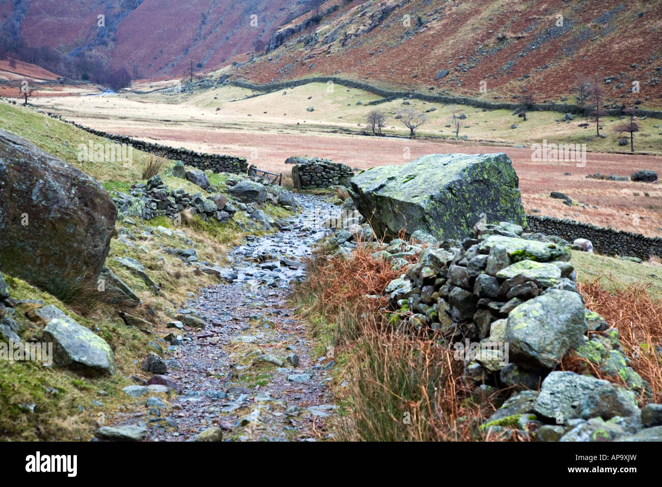 Rock strewn path through Langstrath Valley Stock Photo - Alamy