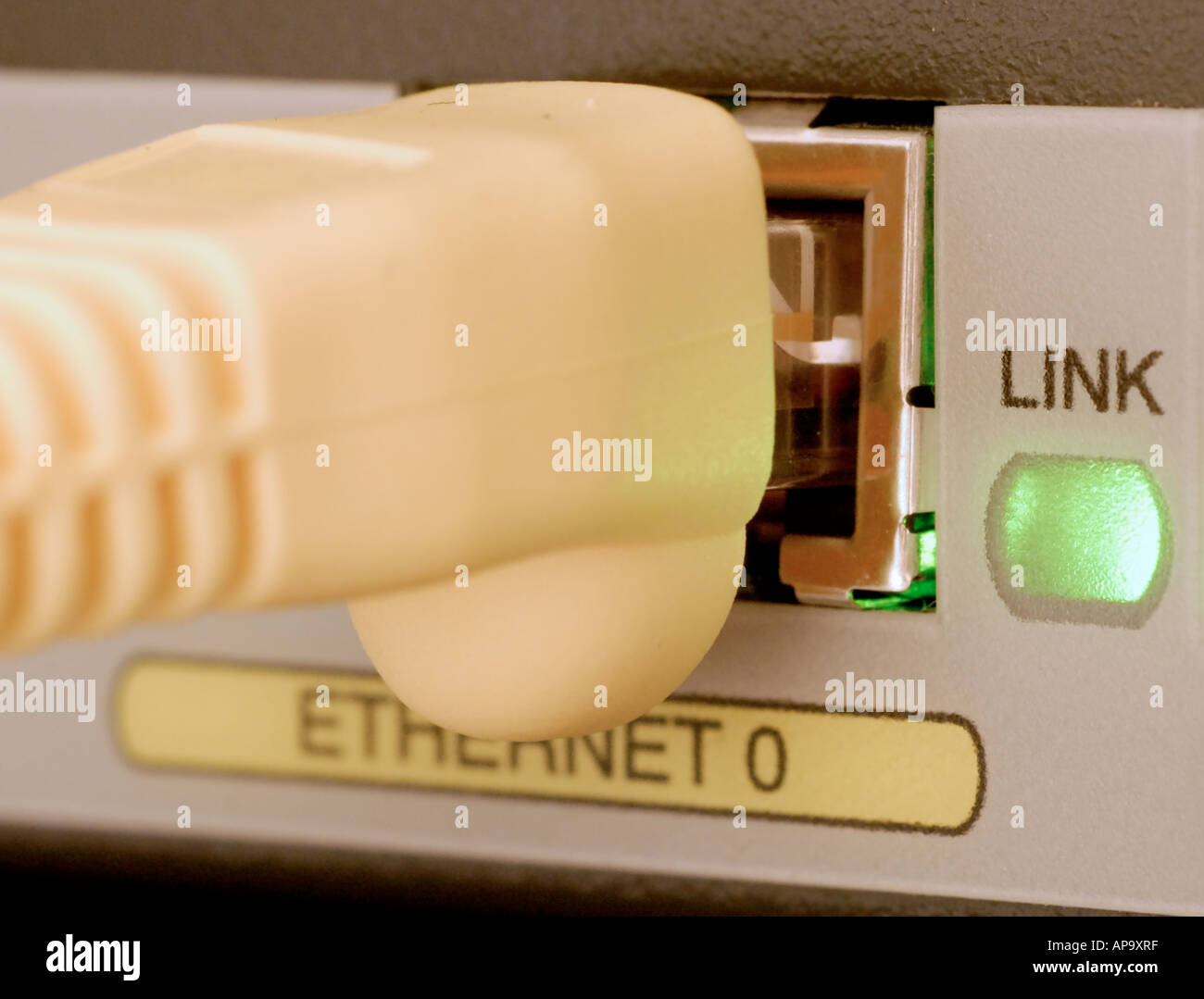 Ethernet network cable plugged into a network card Stock Photo - Alamy