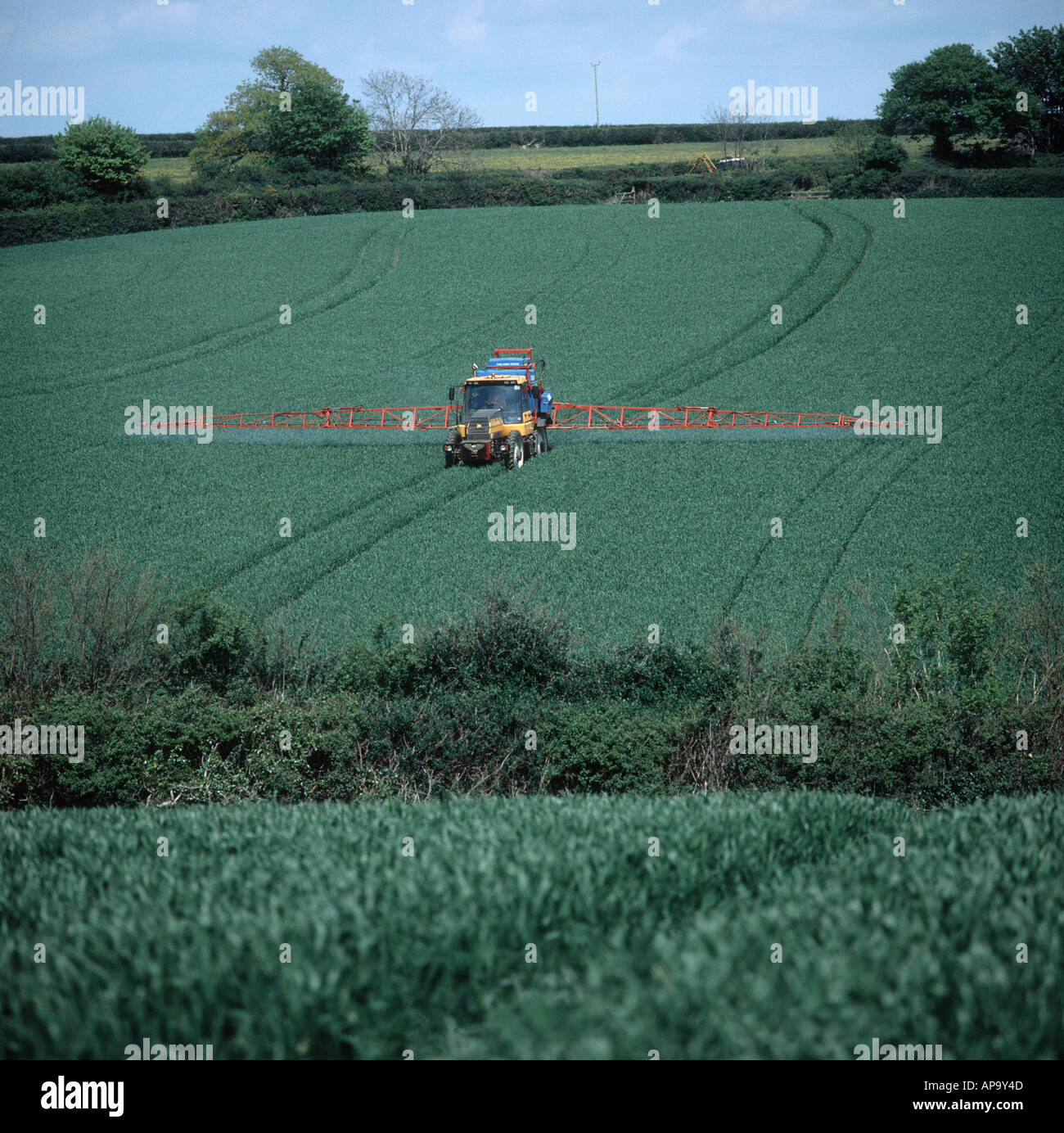 Fastrac tractor and mounted Gem sprayer spraying wheat crop in early ...