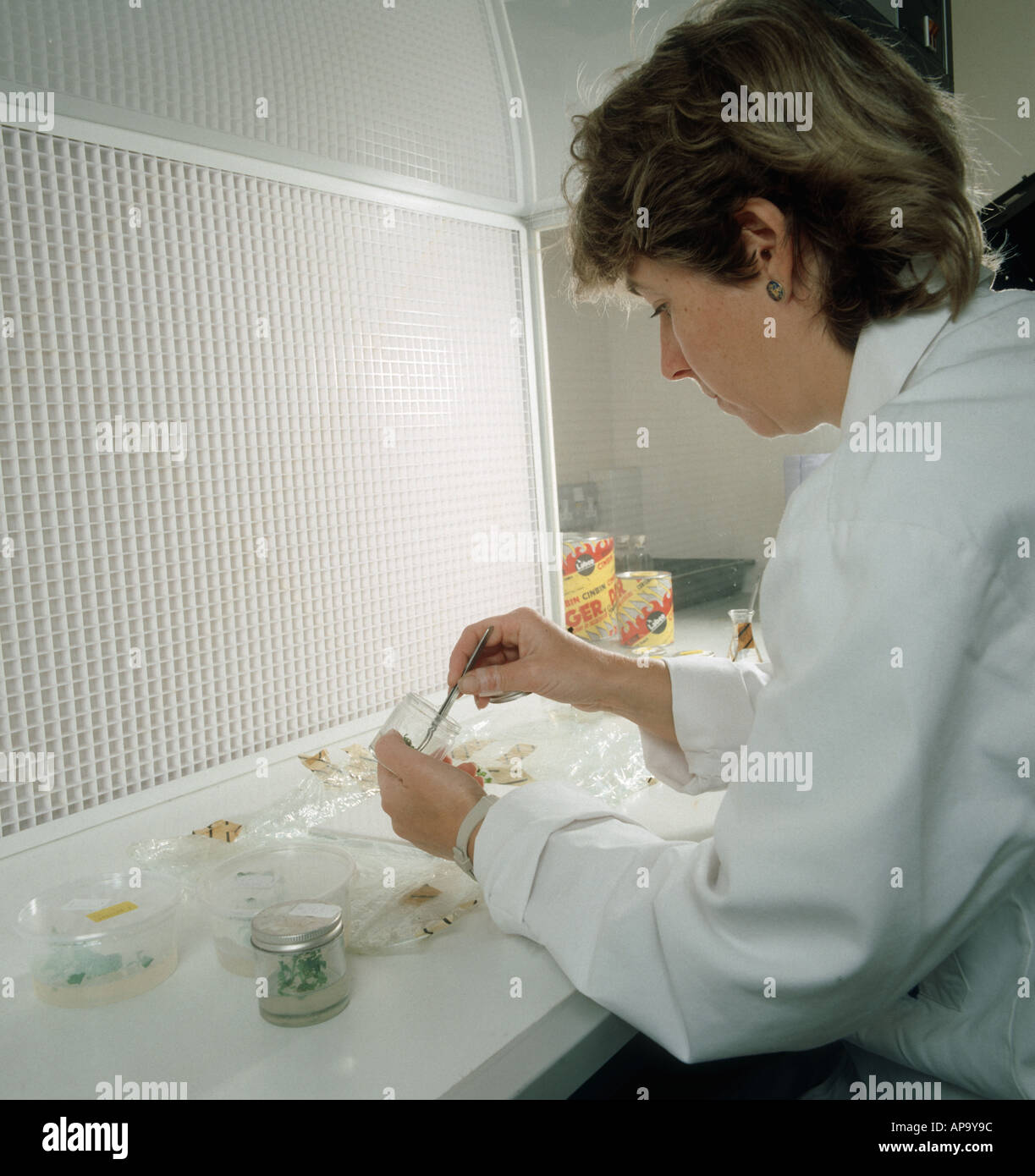 Plant tissue culture laboratory close hi-res stock photography and ...