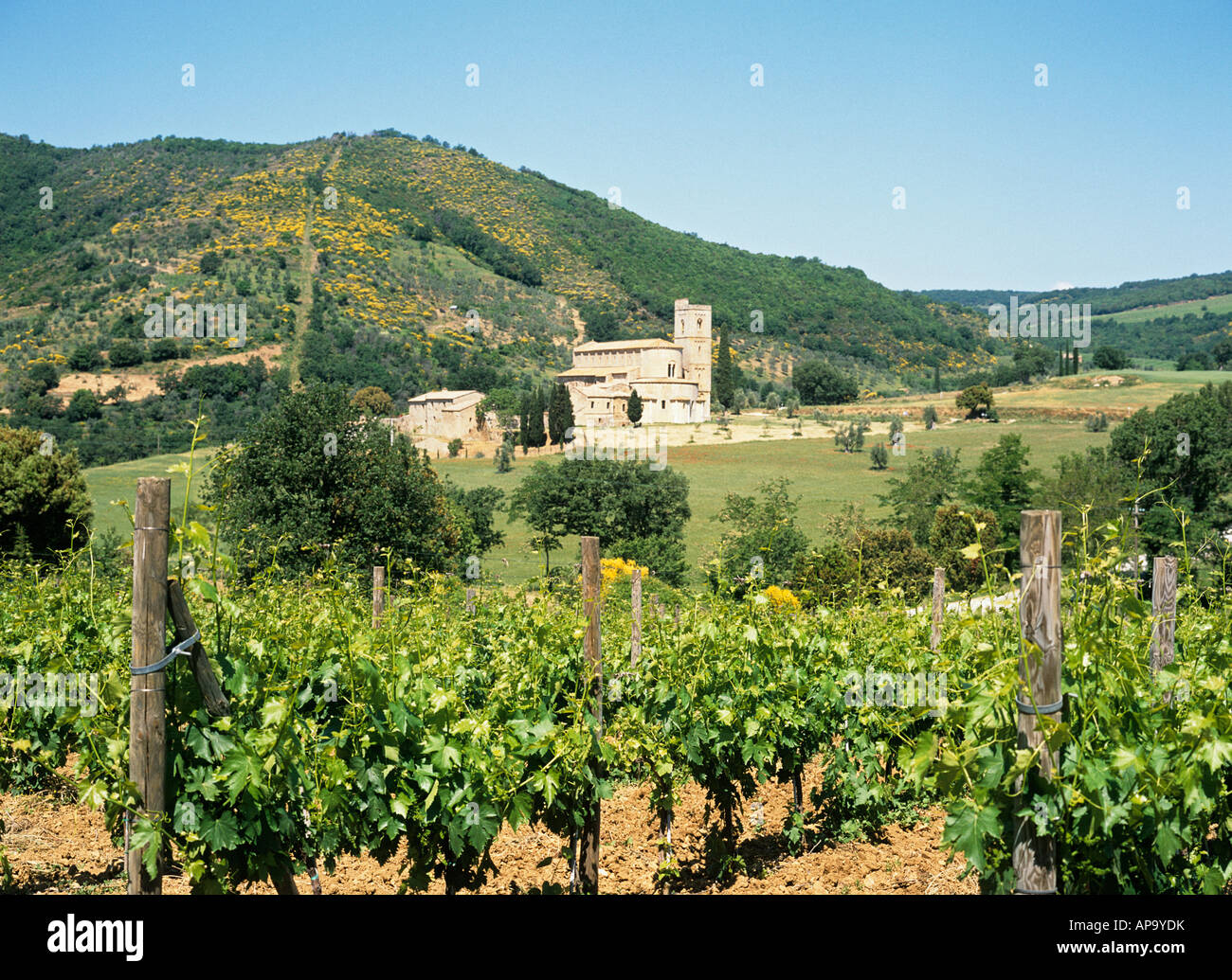 San antimo abbey tuscany Stock Photo - Alamy