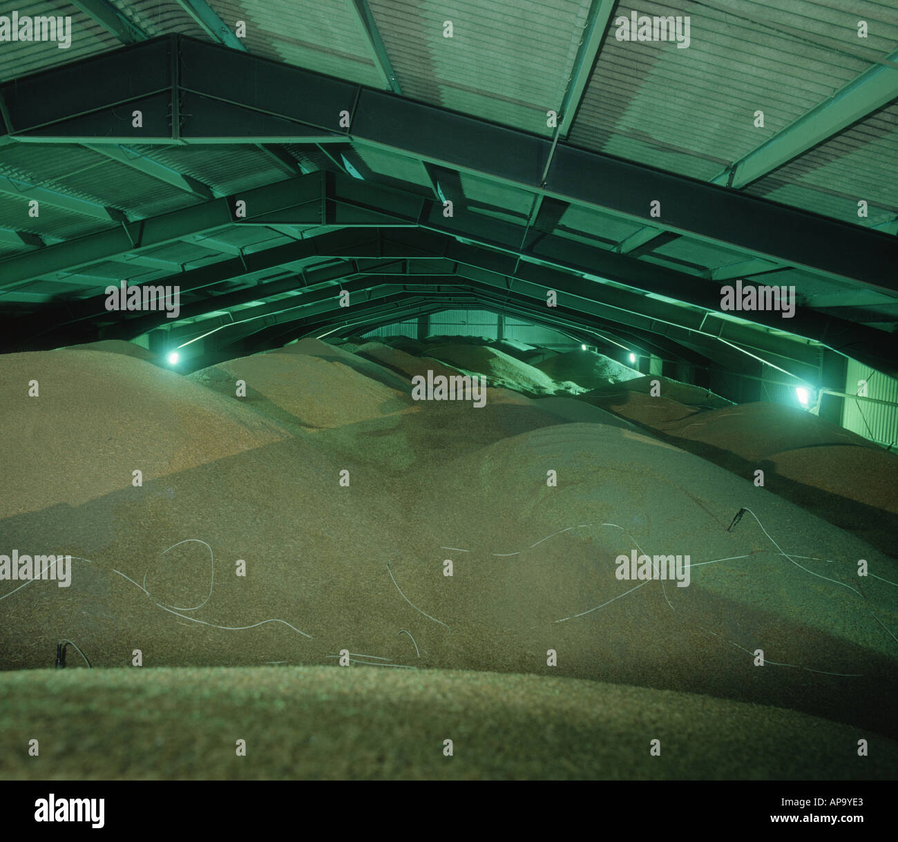 Sensors hi-res stock photography and images - Alamy