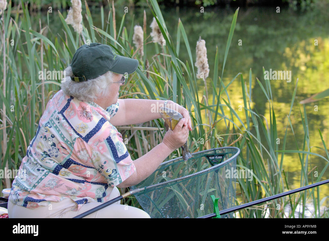 Female tench fish hi-res stock photography and images - Alamy